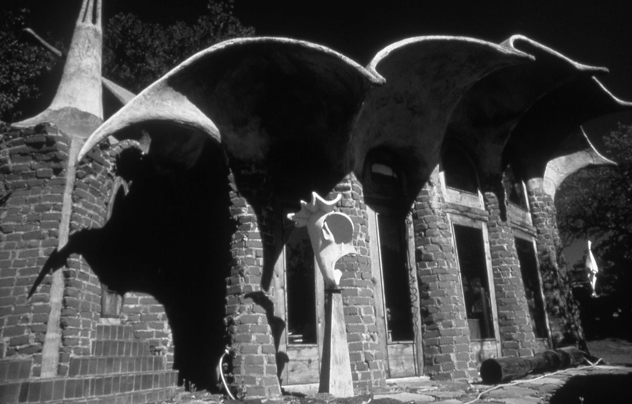 History : Pacific Rim Park